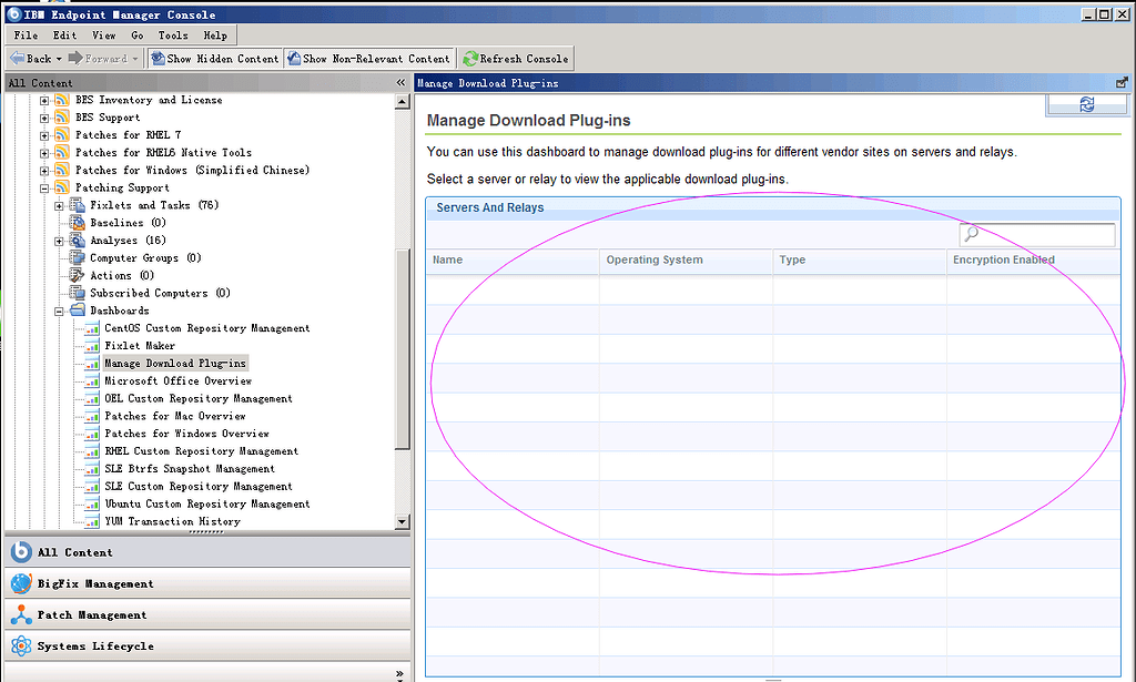Patching Support-Manage Download plug-ins have no data - Patch - BigFix Forum